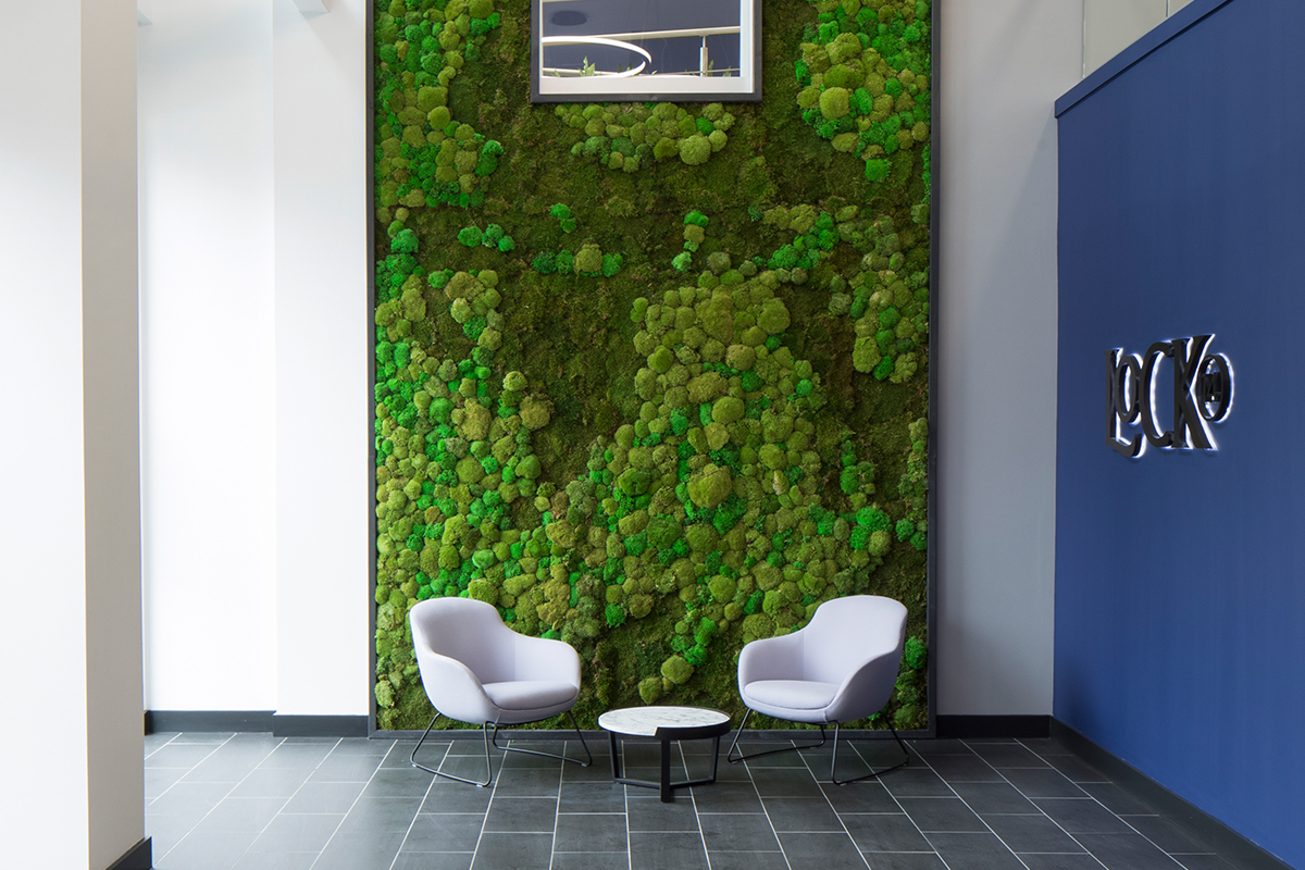 Ilk Low - 4 Leg, Sled and 4 Star