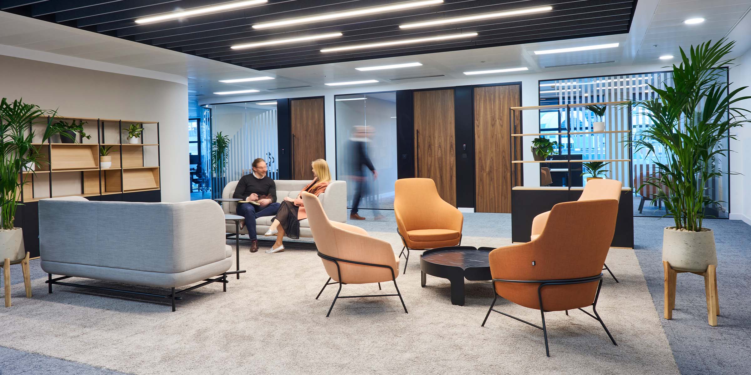 A look back at 2022 - Frovi